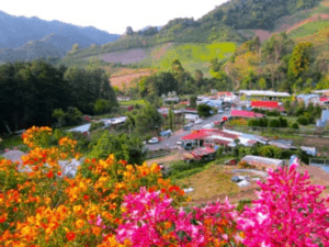 The Complete Panama Relocation Guide - Panama Relocation Tours