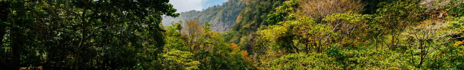 The Complete Panama Relocation Guide - Panama Relocation Tours