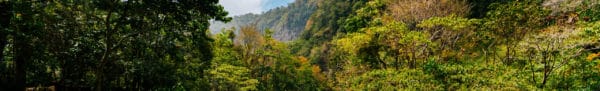 The Complete Panama Relocation Guide - Panama Relocation Tours