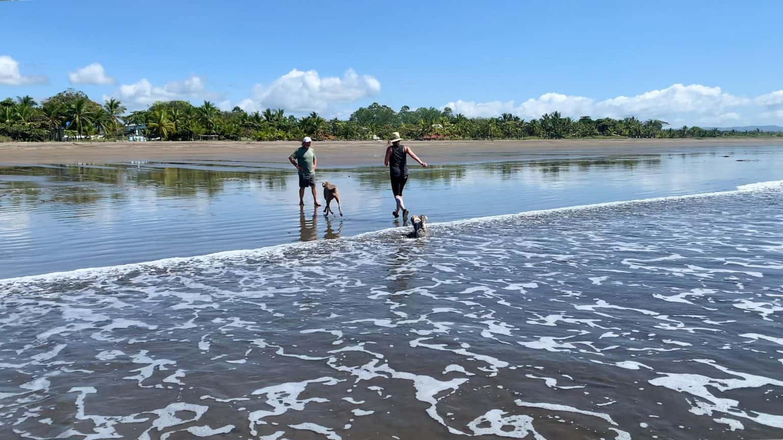 Fast-Track Your Move to Panama: A Step-by-Step Guide - Panama ...