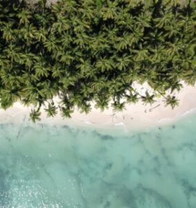 Discover Tropical Torio: The Hidden Gem of Panama - Panama Relocation Tours