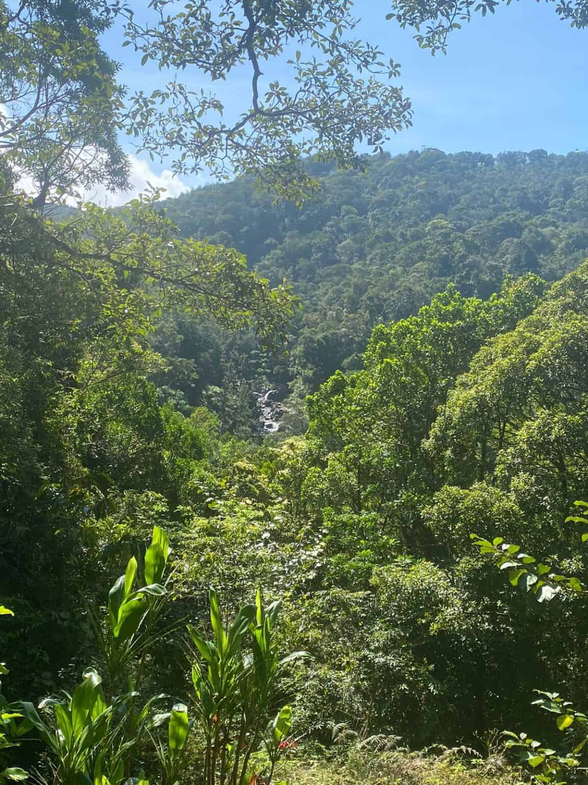 Discover Cerro Azul: Mountain Paradise Close to Panama City - Panama ...