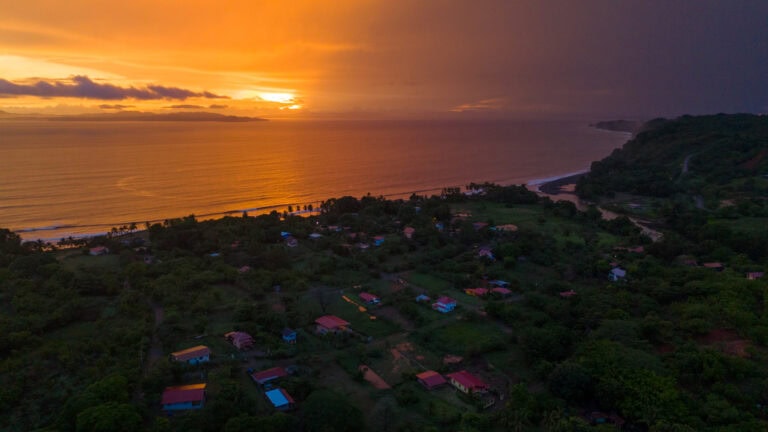 Discover Tropical Torio: The Hidden Gem of Panama - Panama Relocation Tours