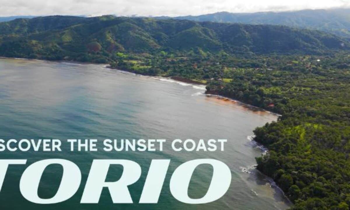 Torio TORIO Store TORIO Store Added A New Photo — At TORIO Store.